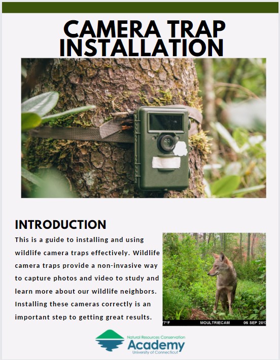 DMM Passion Projects: User Guide For Installing Wildlife Camera Traps ...